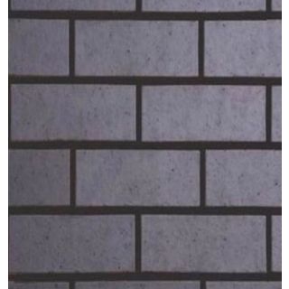 Engineering Bricks - Class B Blue Solid | Emerys
